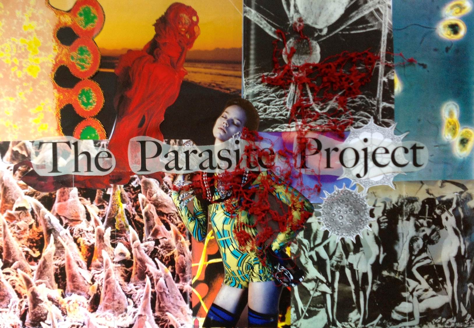The Parasite Project (edited transcript) | Silent Signal
